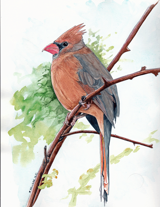 The Unobserved – natureartlife